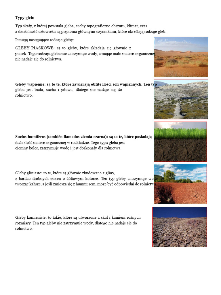 Rodzaje Gleb | PDF