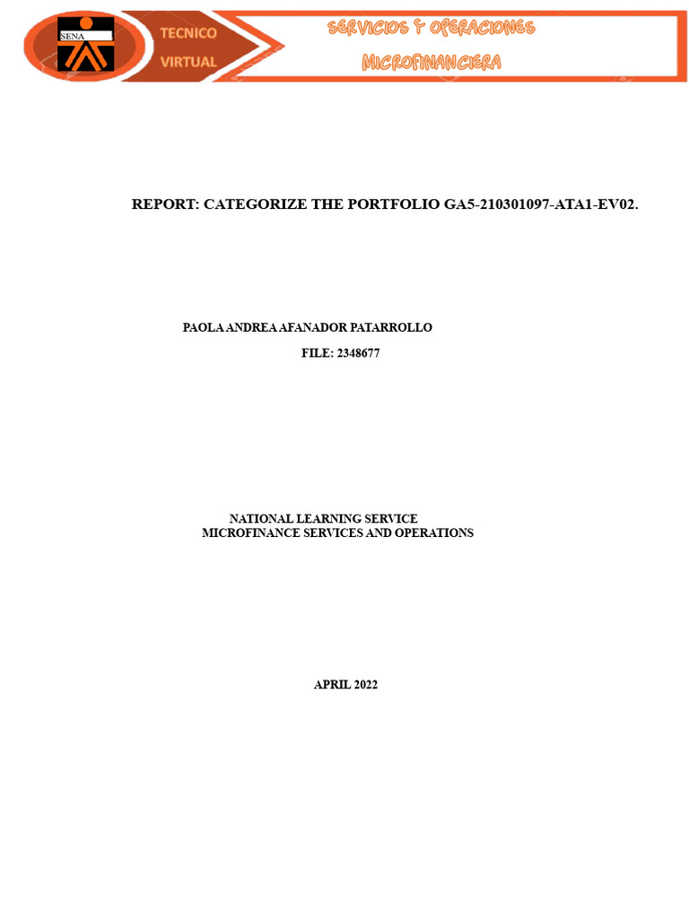 Report Categorize The Portfolio Ga5-210301097-Ata1-Ev02. | PDF ...