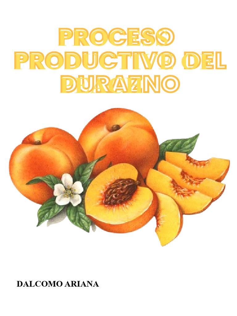 Peach Production Process - 20230822 - 142005 - 0000 | PDF | Hygiene | Peach