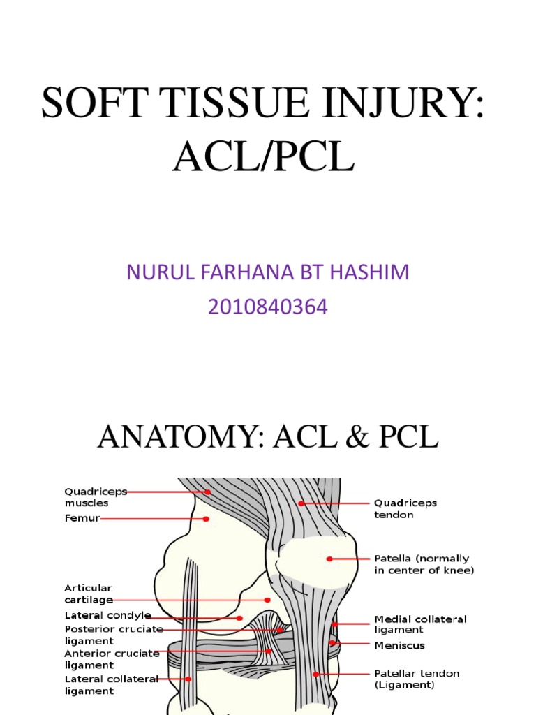 Acl PCL Presentation | PDF | Knee | Dance Science