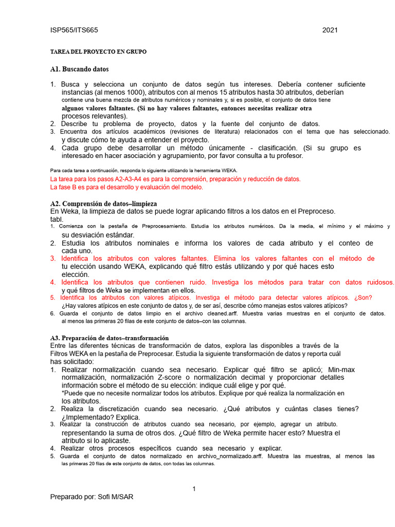 2021 ITS665 - ISP565 - PROYECTO GRUPAL-revMac21 | PDF | Procesamiento de datos | Informática