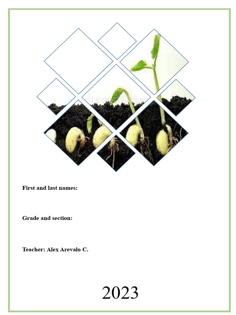 Report On Germination | PDF | Seed | Germination