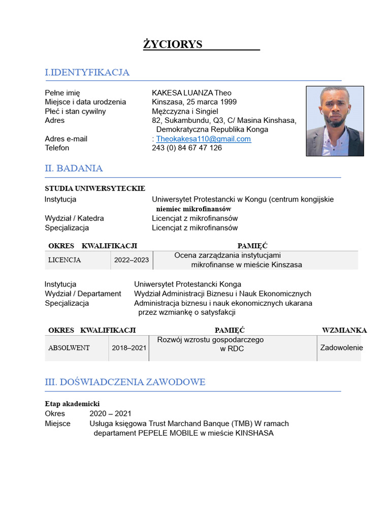 CV Theo Kakesa | PDF