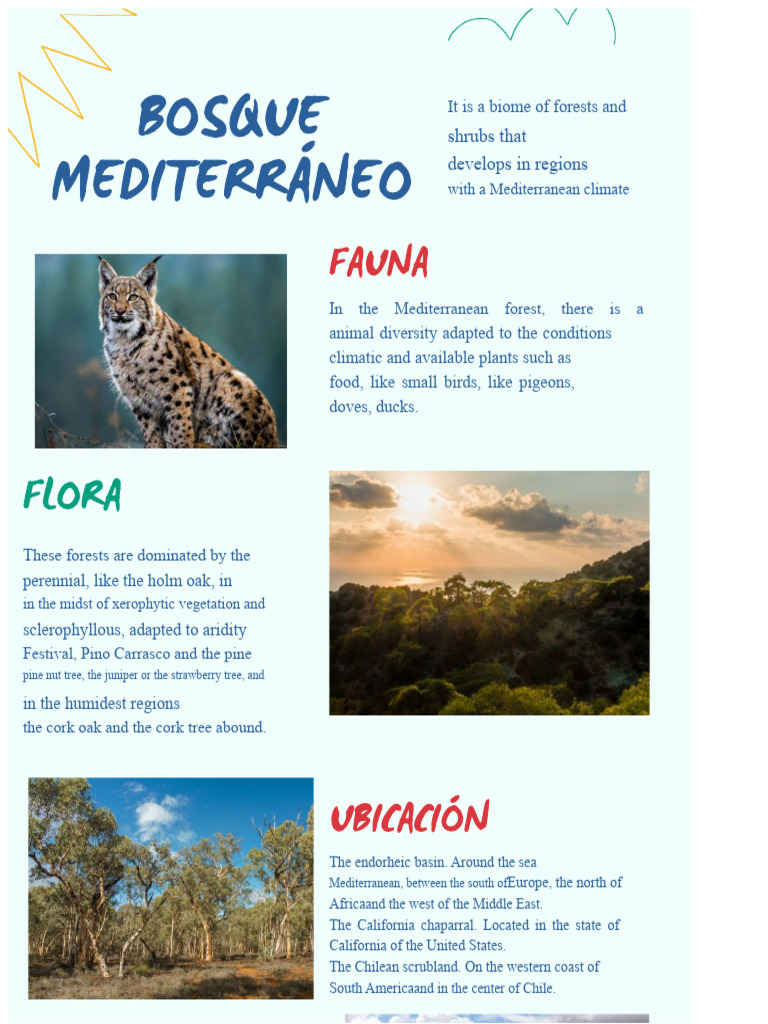Mediterranean Forest Biome Overview | PDF