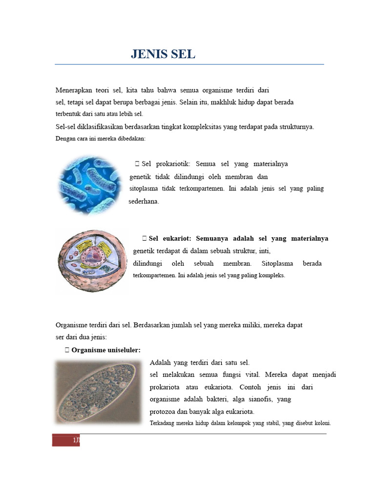 Jenis Sel | PDF