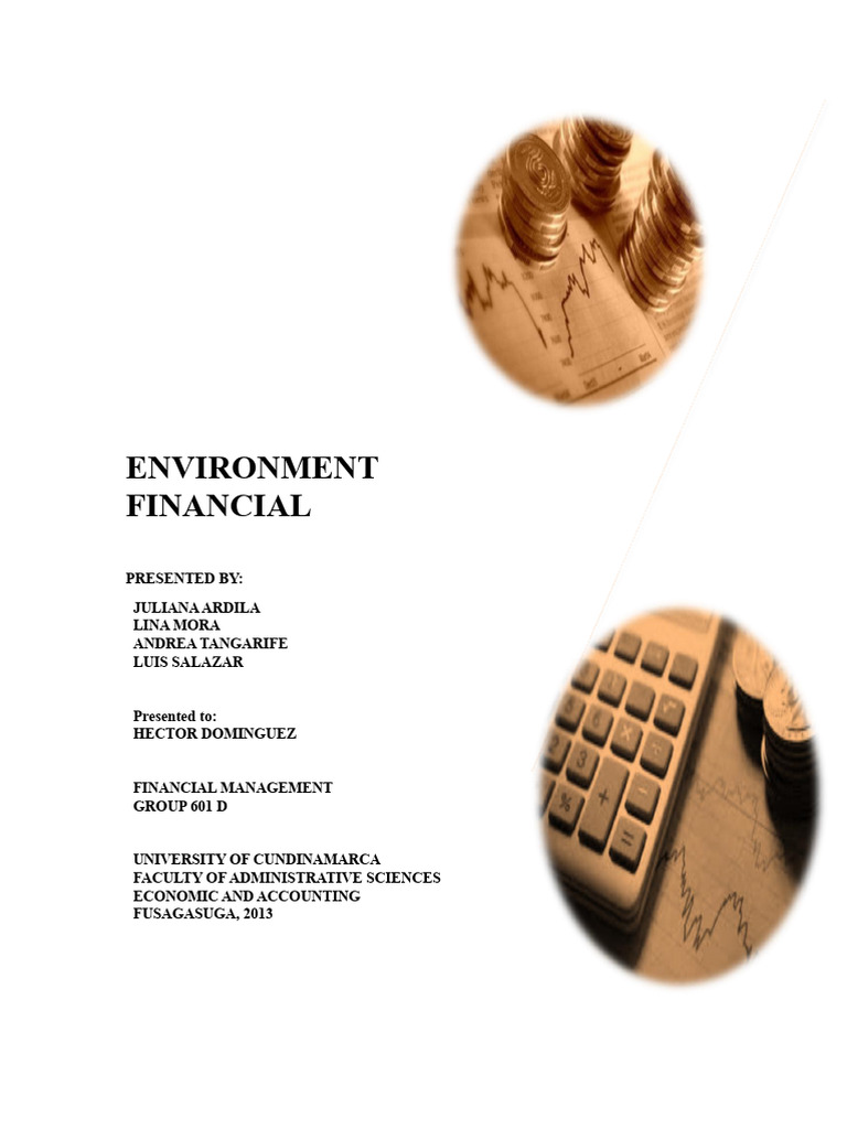 Understanding the Financial Environment | PDF | Securities (Finance ...