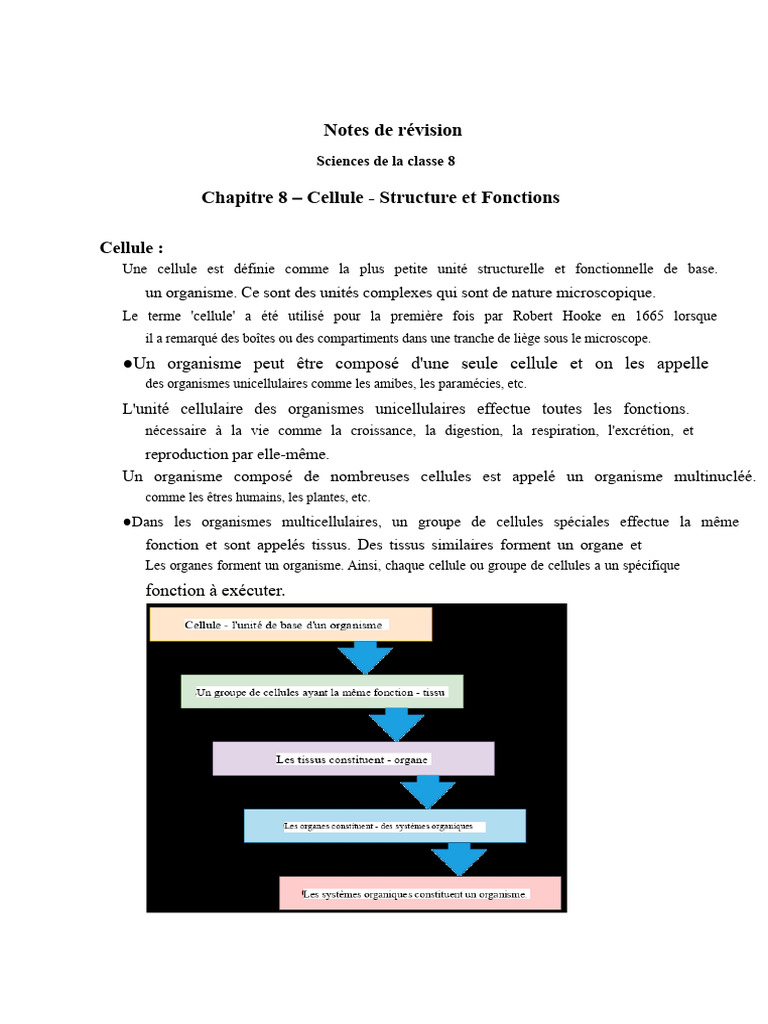 Chapitre 8 | PDF | Cellule (Biologie) | Cytoplasme