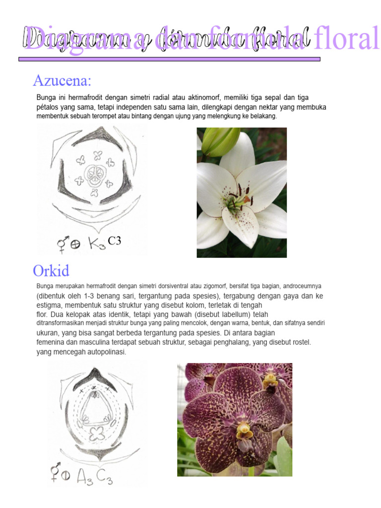 Diagram Dan Rumus Bunga | PDF