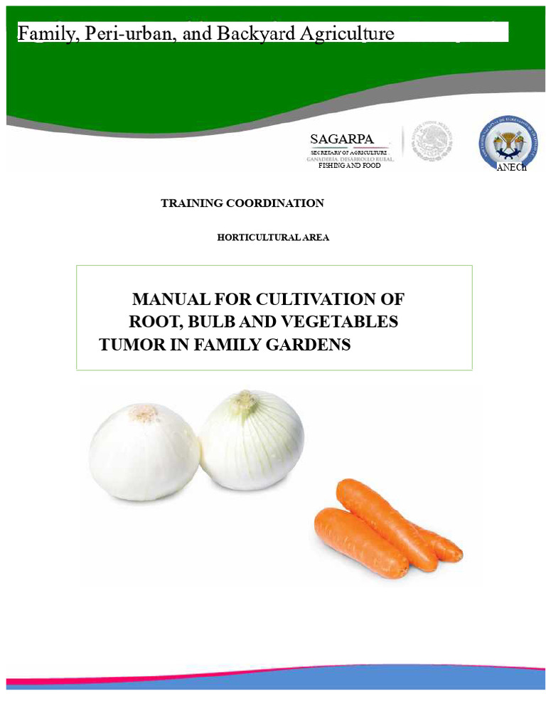 Root vegetables, bulbs, and tubers | PDF | Soil | Vegetables