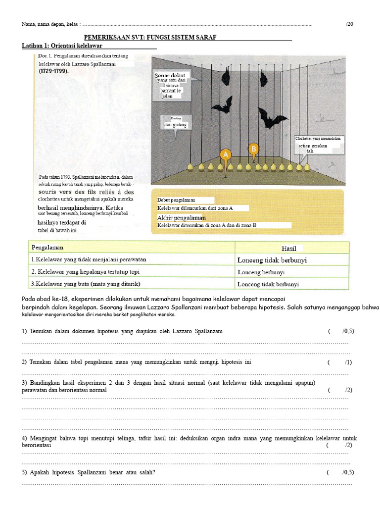SVT PD | PDF