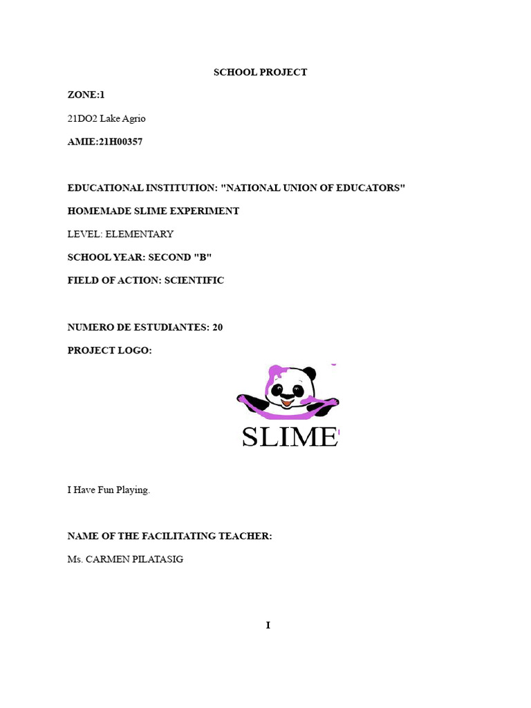 Print Homemade Slime Project | PDF | Methodology | Knowledge
