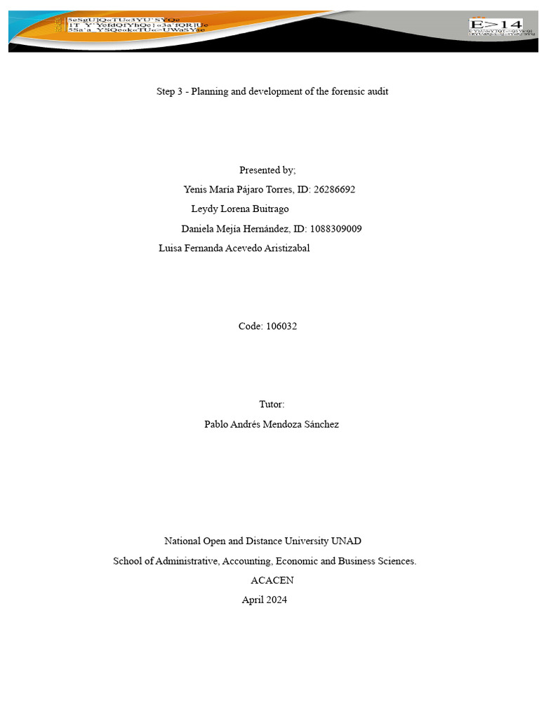 Forensic Audit Planning Guide | PDF | Expense | Historical Cost