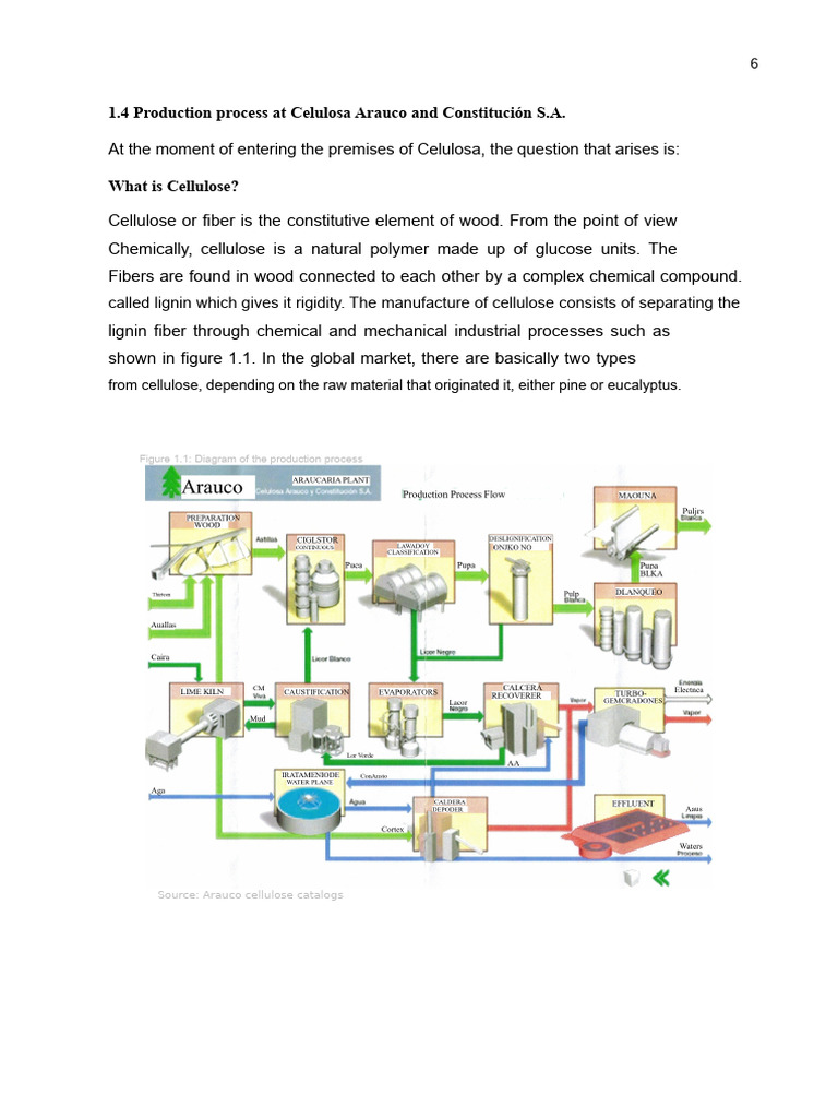 Cellulose | PDF | Pulp (Paper) | Materials