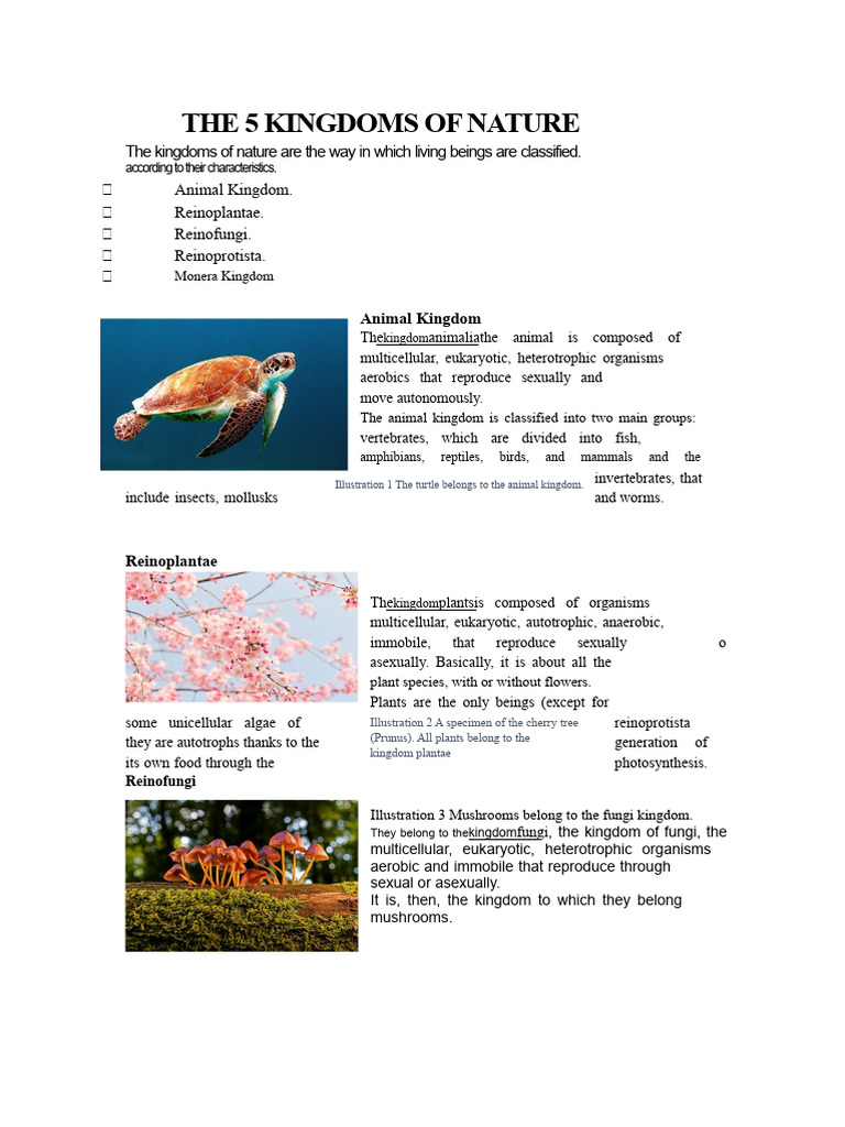 The 5 Kingdoms of Nature | PDF | Eukaryotes | Bacteria