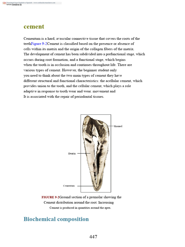 Ten Cate's Oral Histology: Development, Structure, and Function, 9th ...