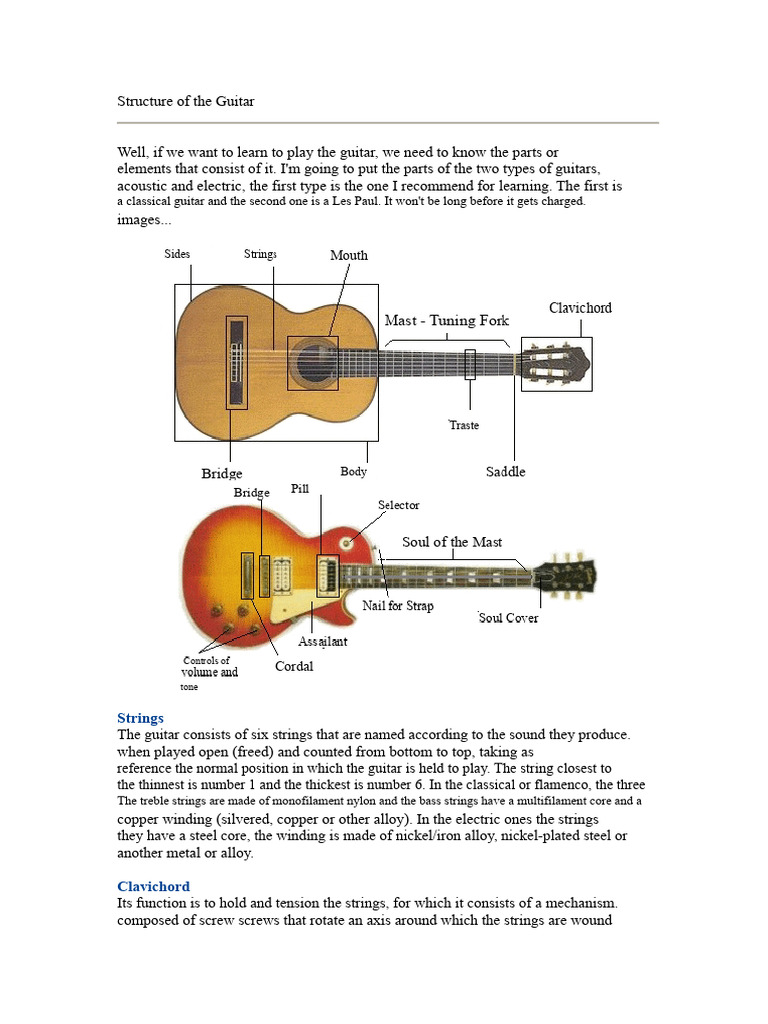 Structure of The Guitar | PDF | Guitars | String Instruments