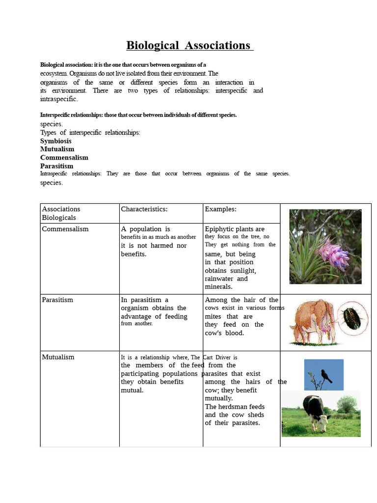 Biological Associations | PDF | Biological Evolution | Symbiosis