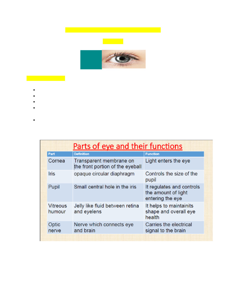 Human Eye Structure and Functions | PDF