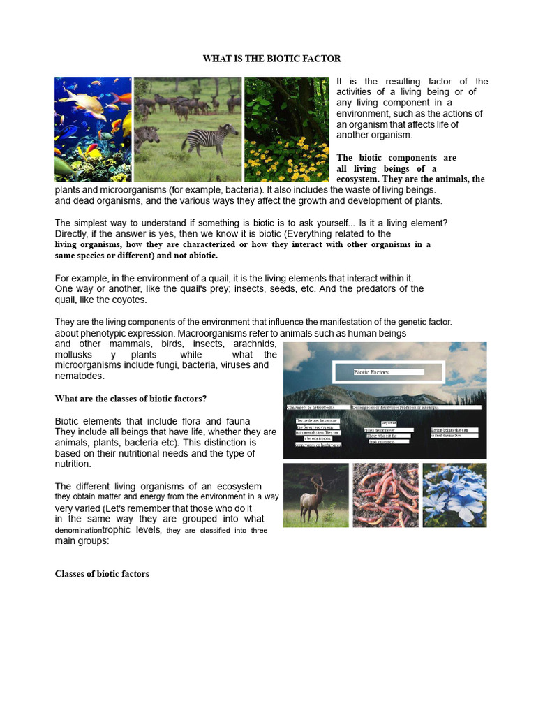 Understanding Biotic Factors in Ecosystems | PDF | Ecosystem | Biology