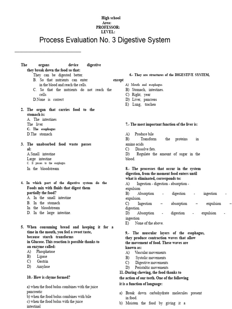 Evaluation 5 Digestive System | PDF | Digestion | Human Digestive System