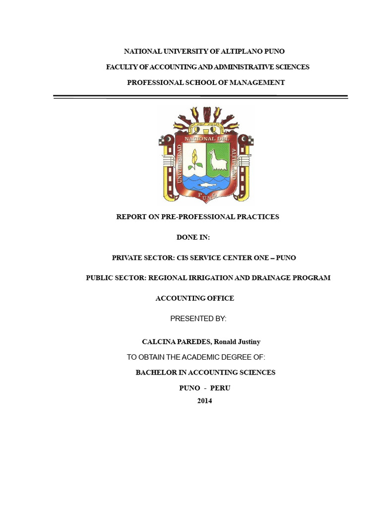 Report On Pre-Professional Accounting Internships | PDF | Money ...