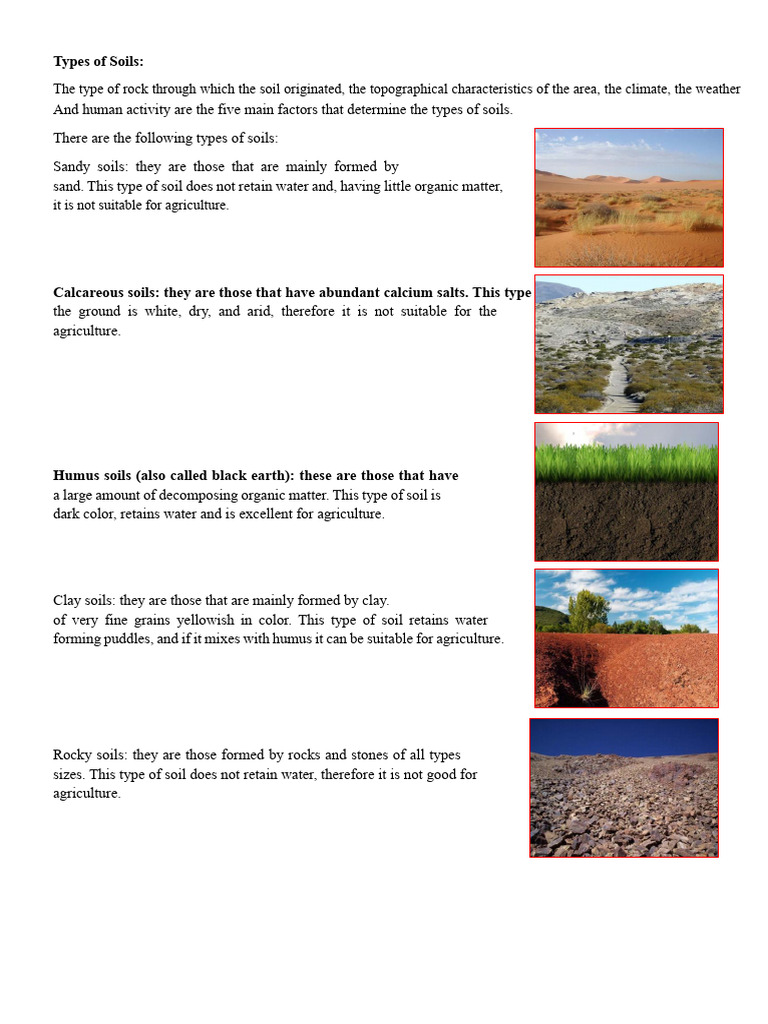 Types of Soils | PDF | Soil | Sand