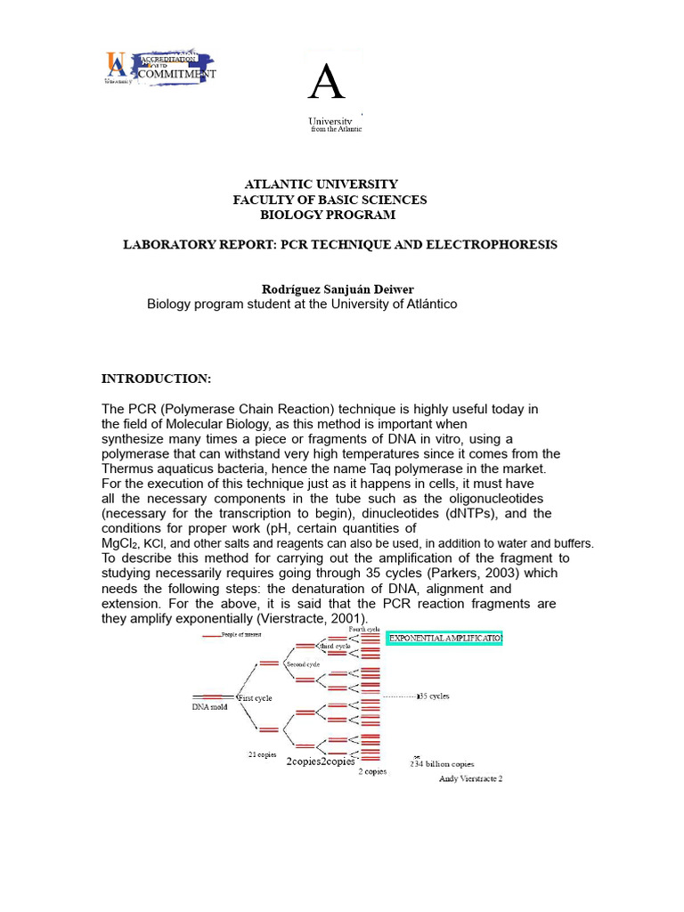 Molecular Lab Report (PCR) | PDF | Polymerase Chain Reaction | Gel ...