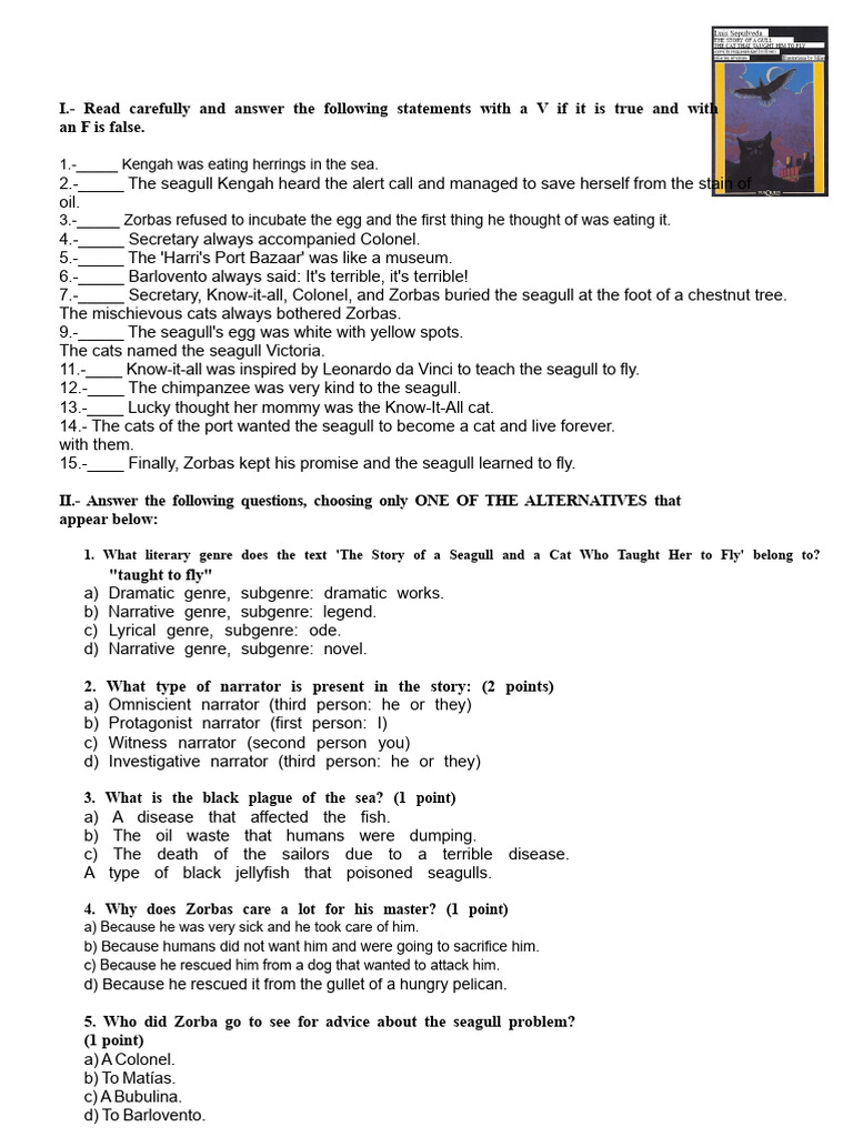 Test of The Book "The Seagull and The Cat Who Taught Her To Fly" | PDF ...