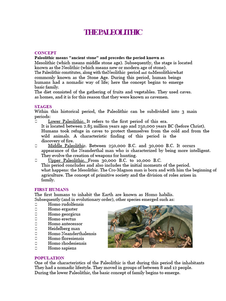 The Paleolithic | PDF | Paleolithic | Homo