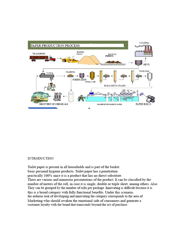 Toilet Paper Manufacturing Process Explained | PDF | Pulp (Paper) | Paper