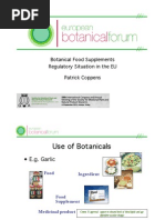 Dossier Template | PDF