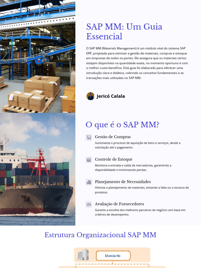 Sap MM - Material Management | PDF | Business
