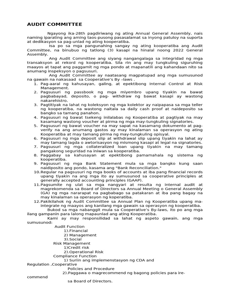 Audit Committee 2024 | PDF