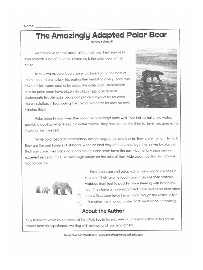 The Amazingly Adapted Polar Bear | PDF