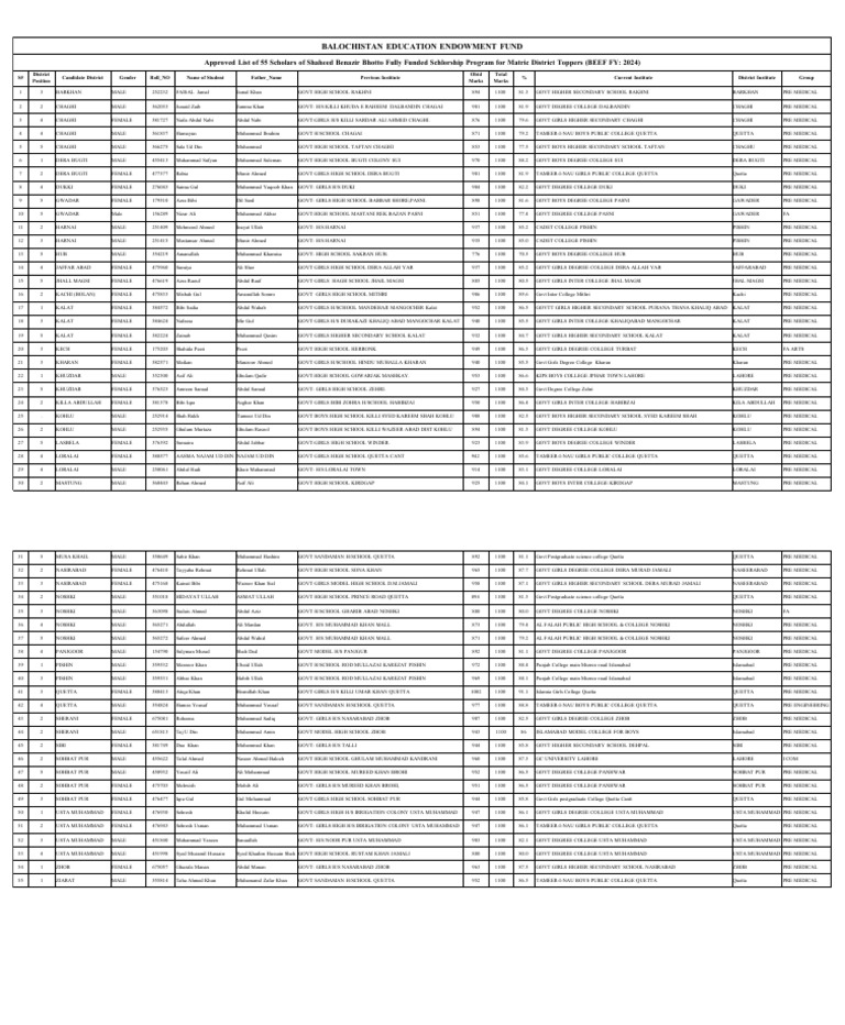 2nd List of District Toppers 2024-25 | PDF