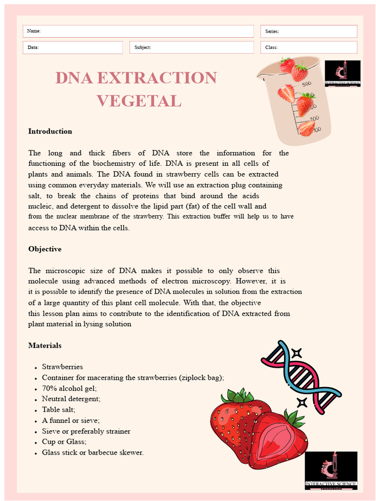 Strawberry DNA Extraction Guide | PDF | Dna | Cell (Biology)