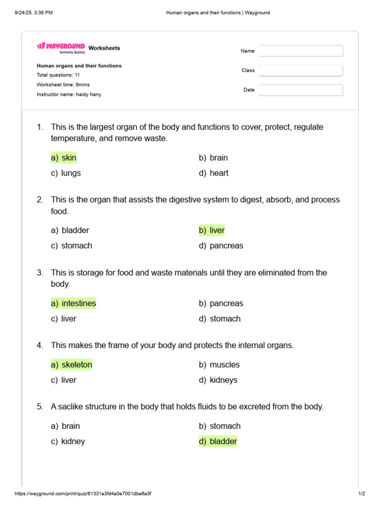 Human Organs Functions Worksheet | PDF | Stomach | Heart
