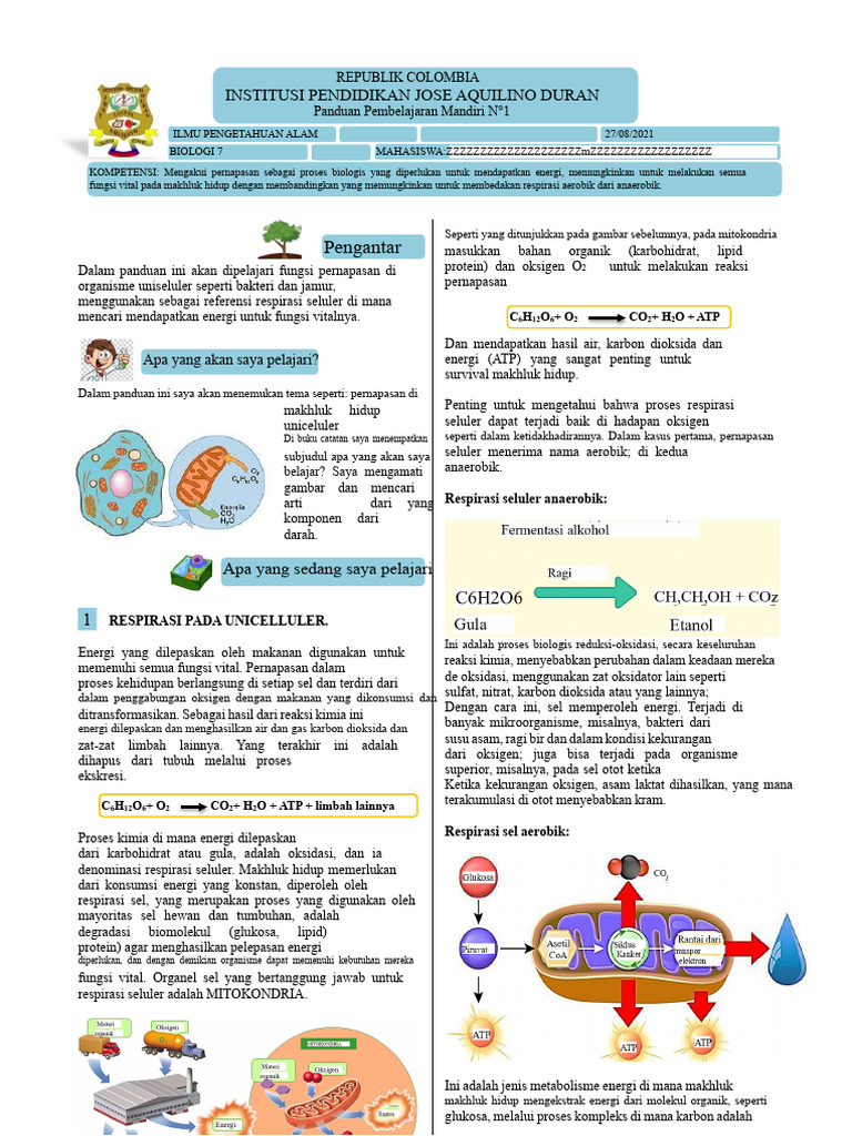 Proses Respirasi pada Organisme Uniseluler | PDF