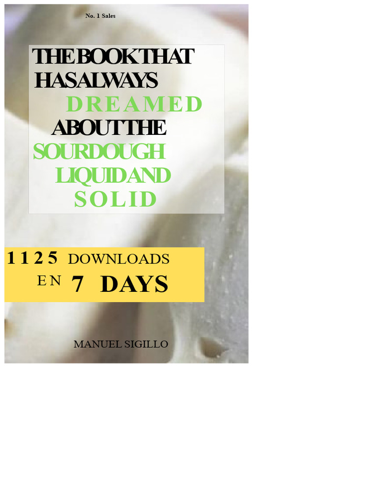 Mastering Sourdough Starter Techniques | PDF | Sourdough | Breads