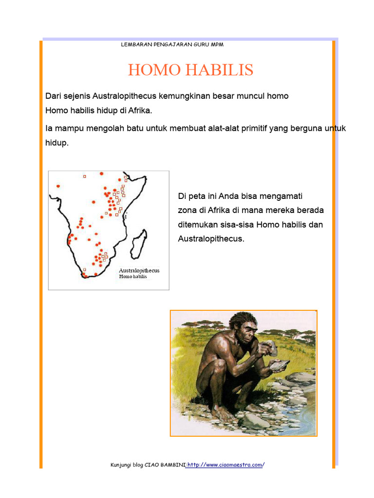 Sejarah dan Alat Homo Habilis | PDF