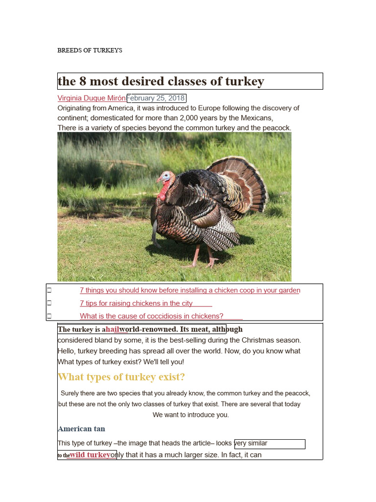 BREEDS OF TURKEYS | PDF | Meat | Peafowl