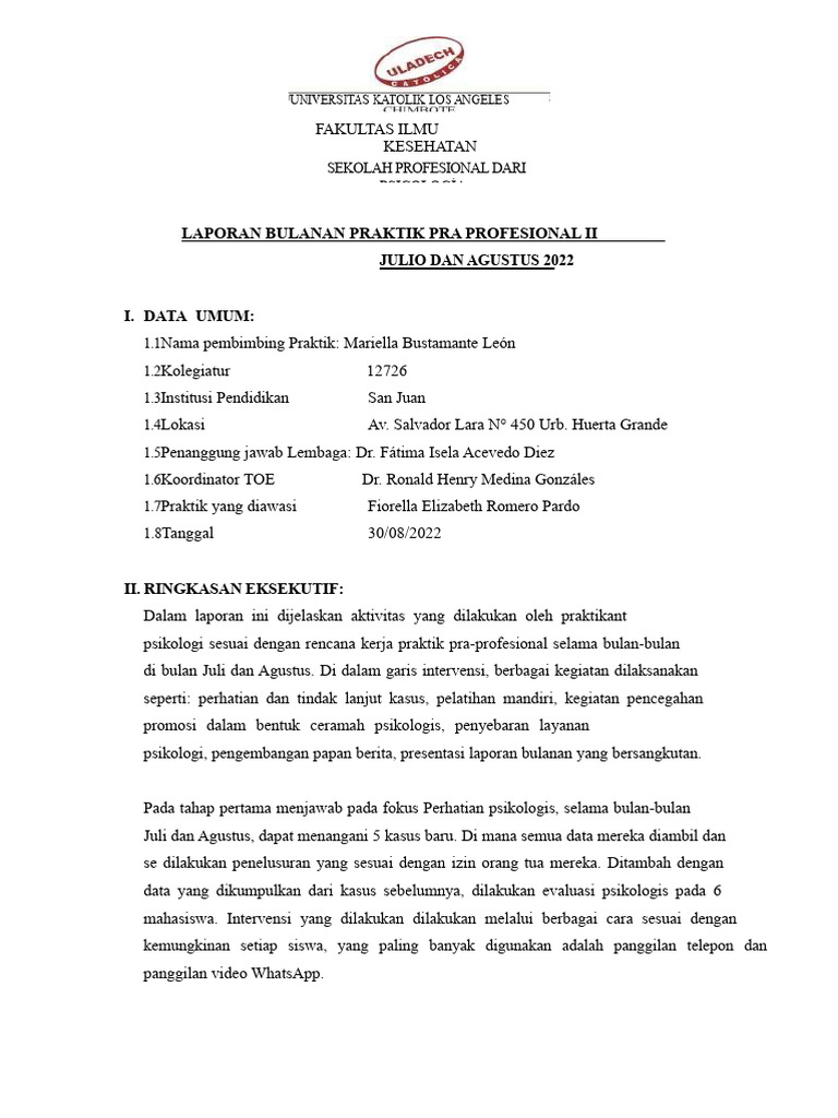 Laporan Bulanan - Model | PDF