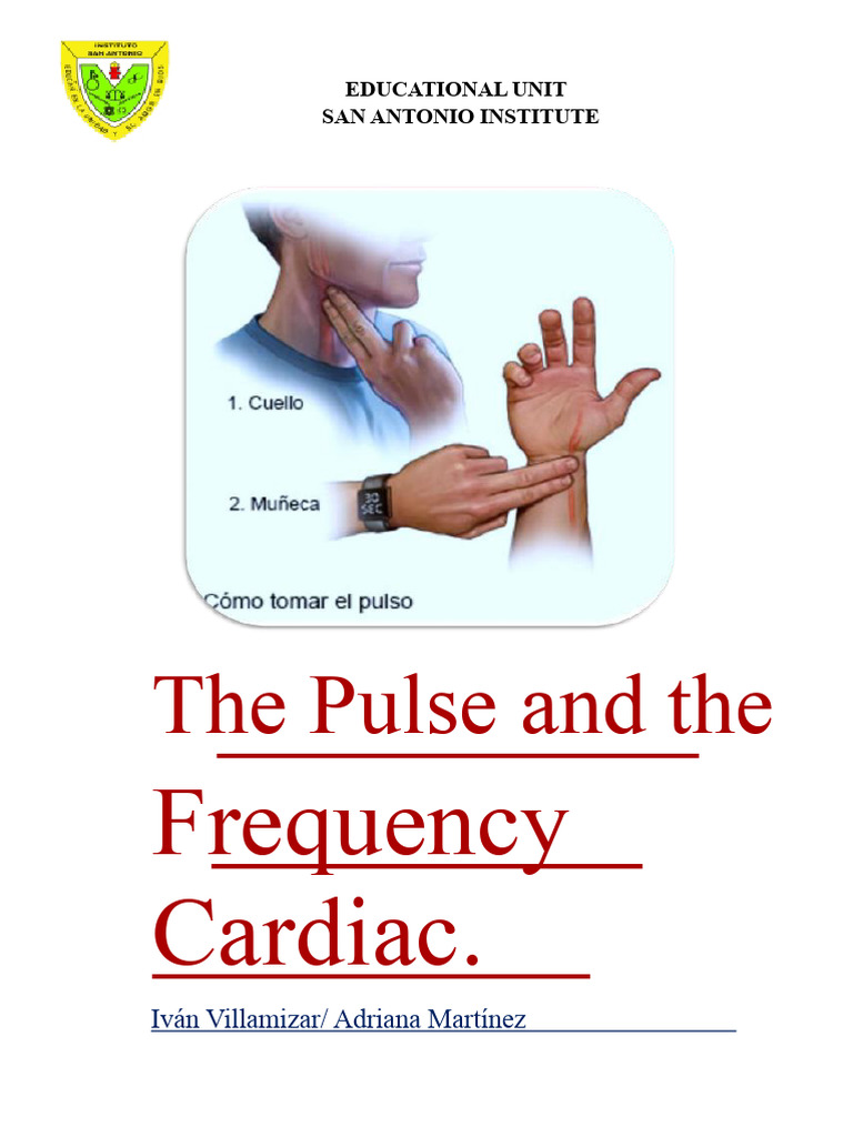 Understanding Pulse and Heart Rate | PDF | Pulse | Heart