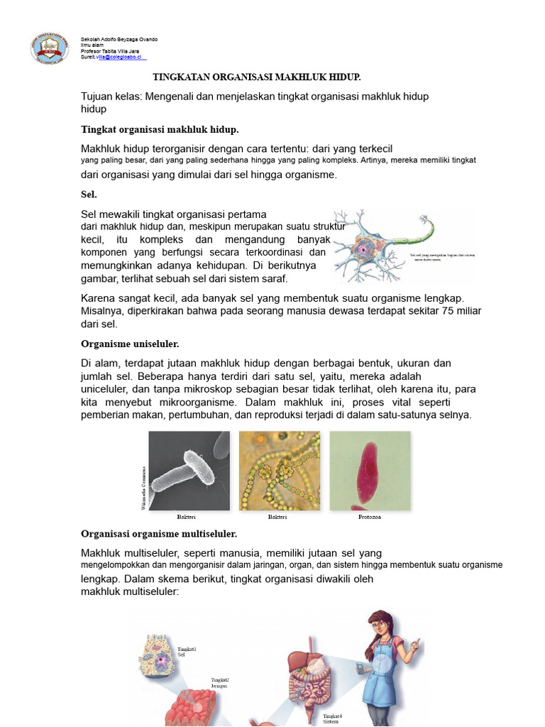 Tingkat Organisasi Makhluk Hidup | PDF