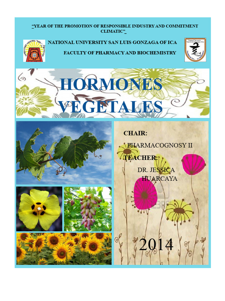 Plant Hormones | PDF | Plant Hormone | Auxin