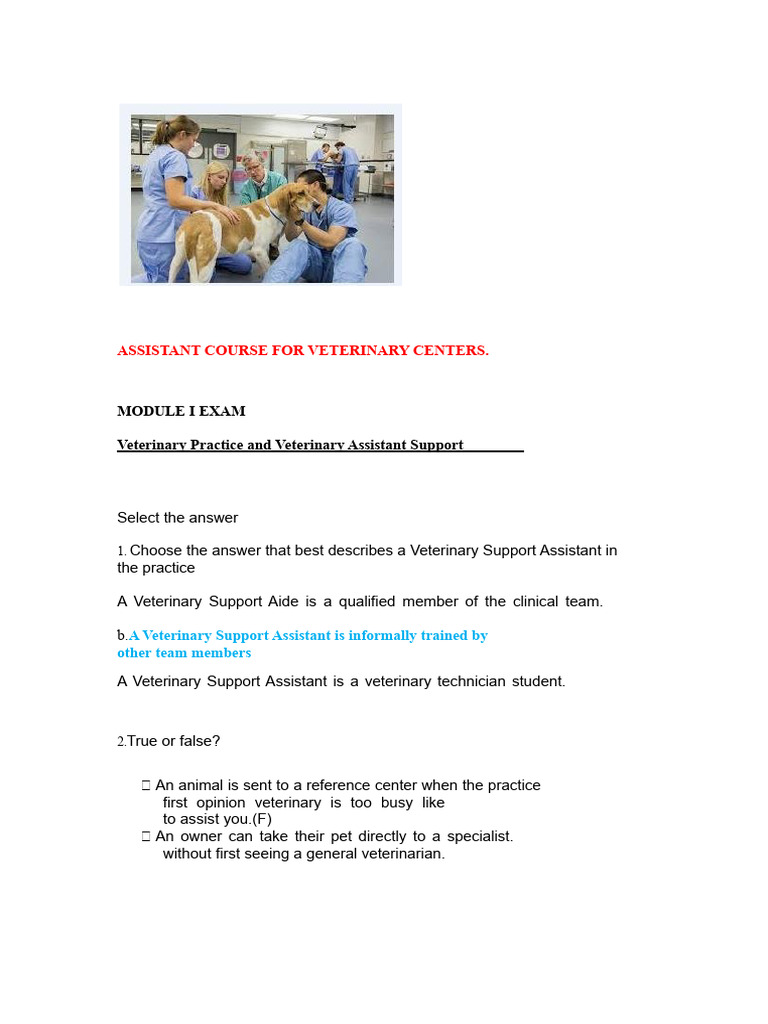 Veterinary Assistant Exams | PDF | Anatomical Terms Of Location ...