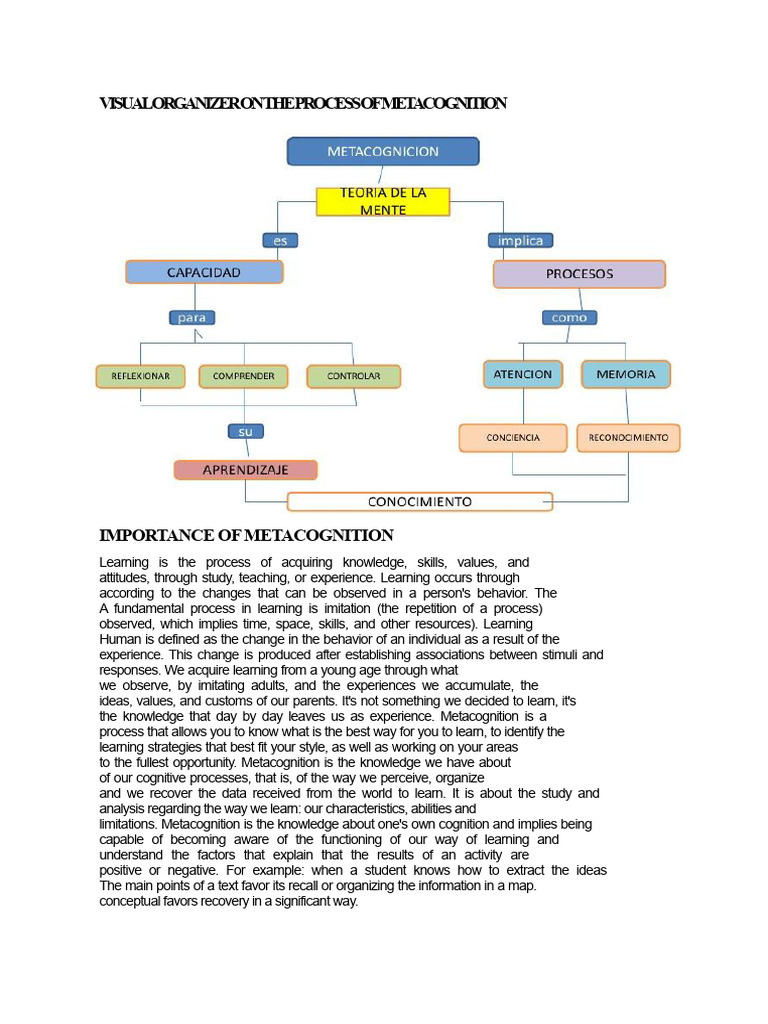 Visual Organizer About The Process of Metacognition | PDF