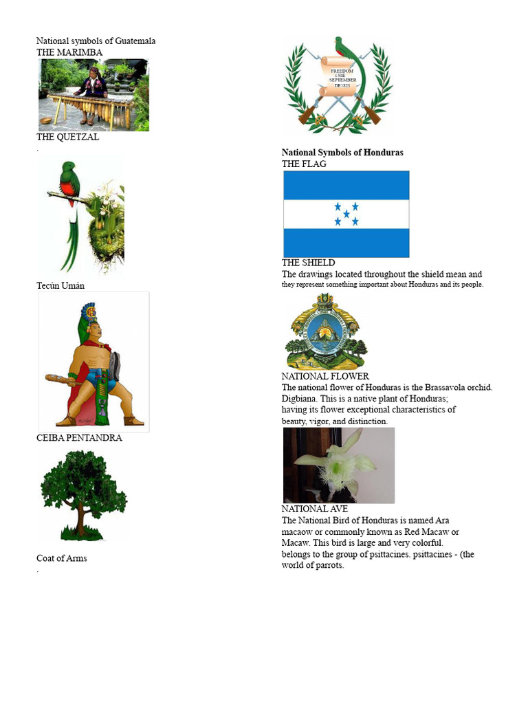 Patriotic Symbols of Guatemala | PDF | Central America | Honduras