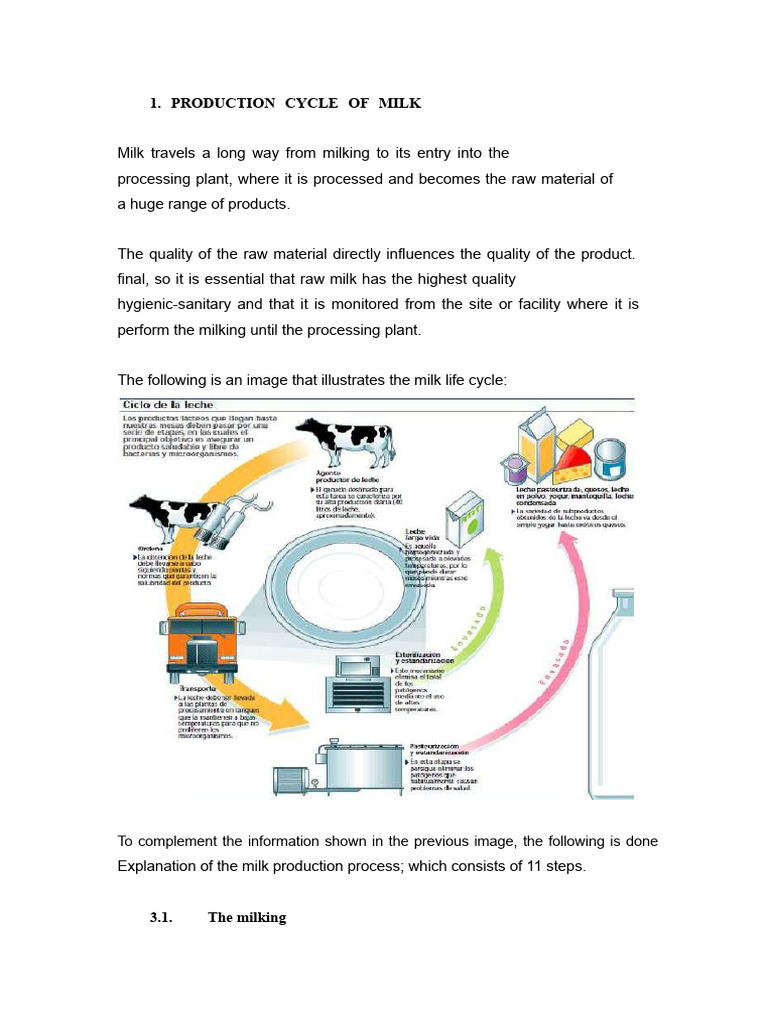 Milk Processing Steps Explained | PDF | Milk | Dairy
