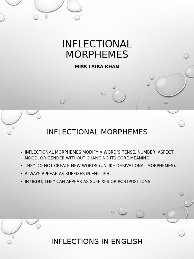 Understanding 8 Inflectional Morphemes | PDF